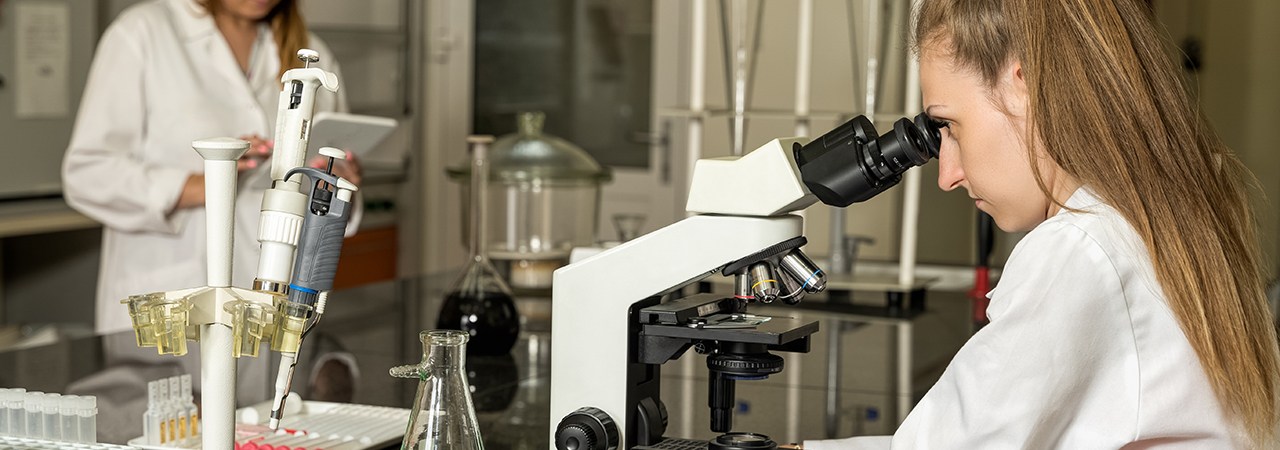 5 Best Compound Microscopes - Dec. 2022 - BestReviews