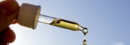 5 Best Liquid Multivitamins - Sept. 2025 - BestReviews