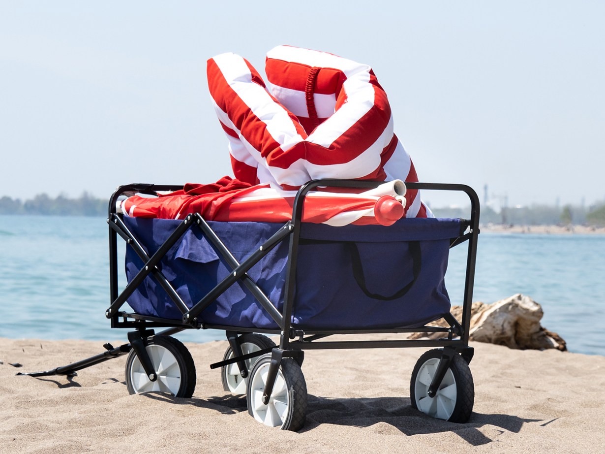 5 Best Collapsible Carts - Sept. 2025 - BestReviews