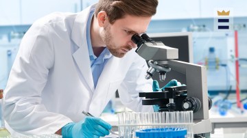 Compound microscope vs. stereo microscope