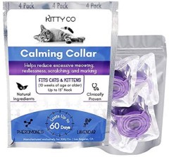 5 Best Calming Products for Cats - July 2022 - BestReviews